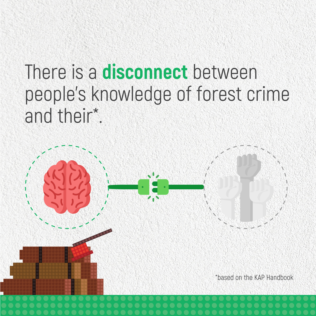 Do people care about forest crime? | UNREDD Programme