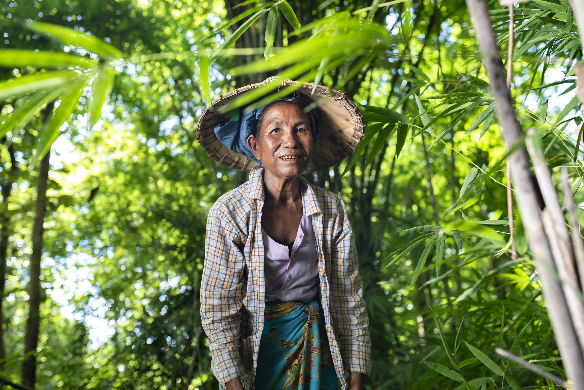 Indigenous Peoples see the importance of protecting forests but can the ...