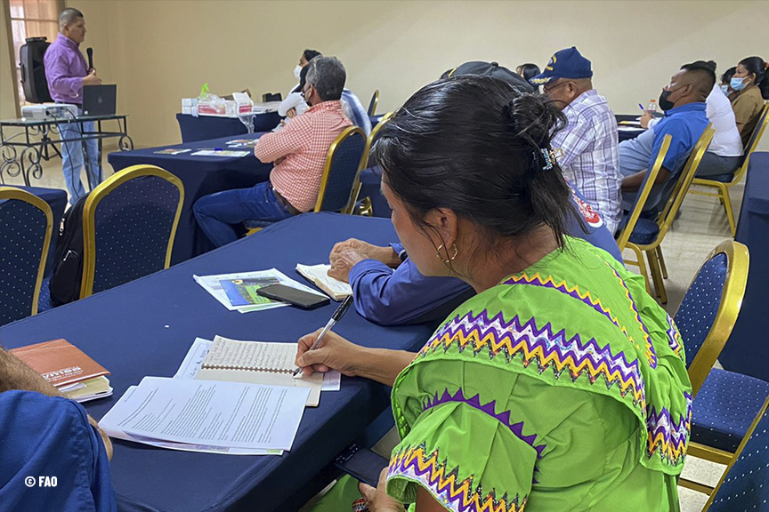 How Panama is ensuring free prior and informed consent and the ...