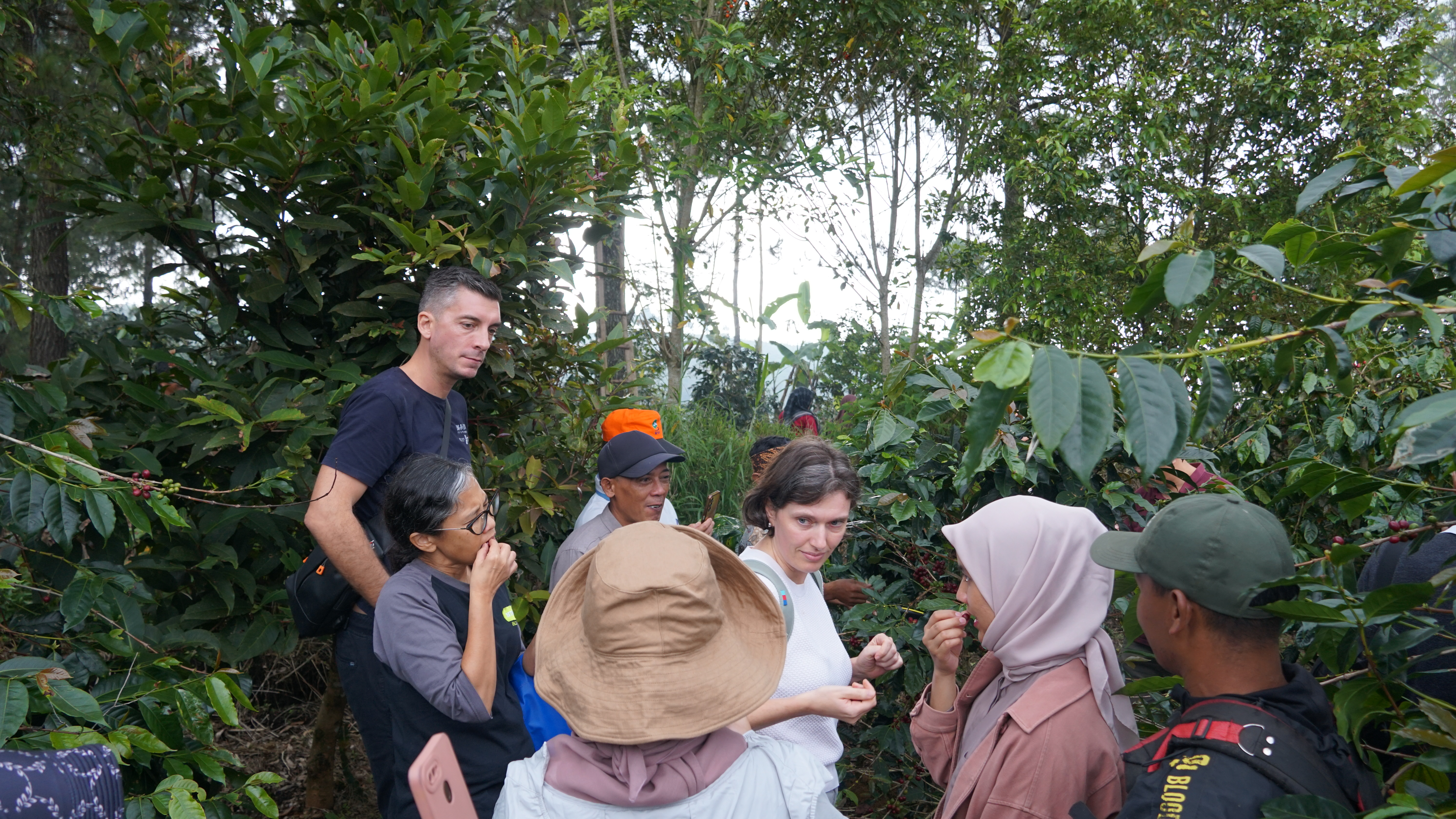 Coffee farmers in Indonesia’s West Java brew up a new model of social ...