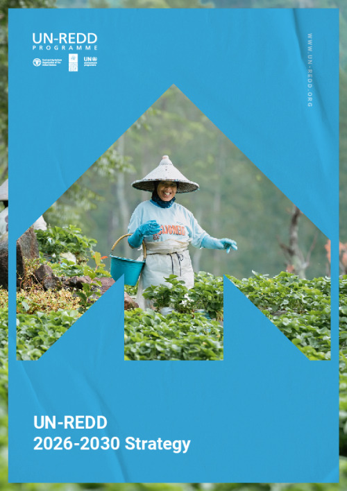 UN Official List of Country Names | UNREDD Programme