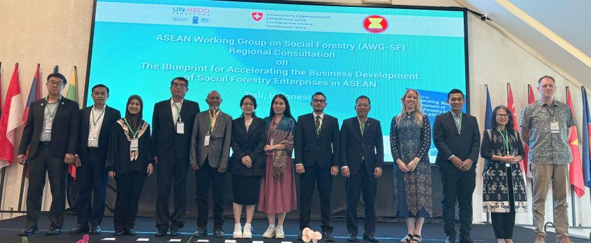 ASEAN blueprint to accelerate social forestry enterprises, moves ...