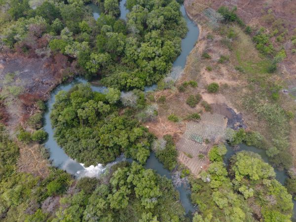 In Zambezi River communities, Zambia’s forests are seen as vital for ...